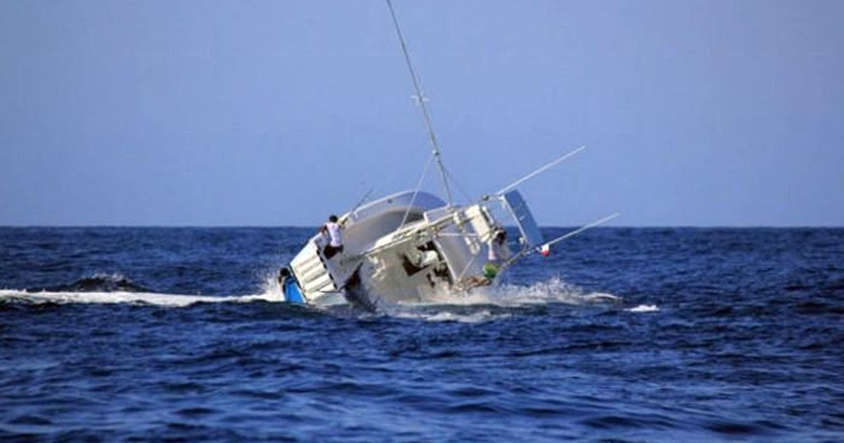 Imagini incredibile! Uite cat este de greu sa prinzi un peste-spada ...