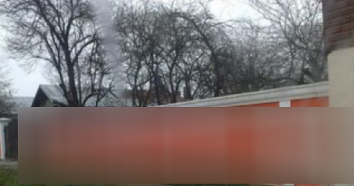 Gardul celui mai cocalar roman face inconjurul internetului! Uite ce si ...