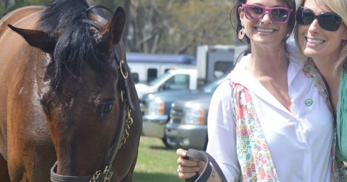 Bruneta asta si prietena ei au vrut sa faca o poza cu un cal! Ce a ...