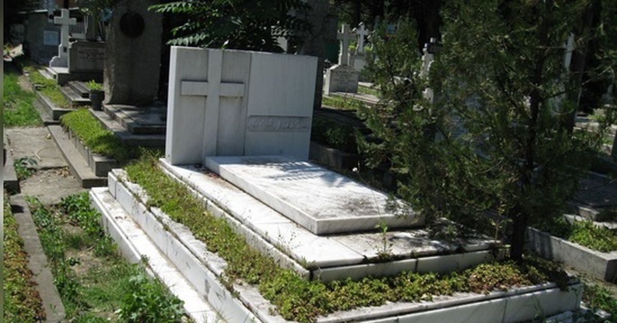 Scene doborâtoare la Vâlcea! O familie a rămas şocată când au văzut ce ...