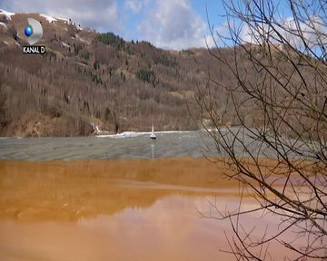 GEAMANA, cel mai bogat sat din Apuseni, scufundat in otrava - WOWBiz