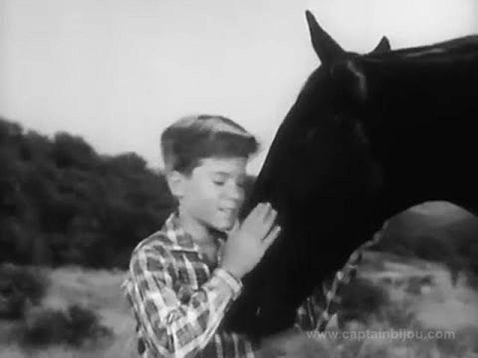 Doliu la Hollywood! A murit celebrul actor Bobby Diamond - WOWBiz