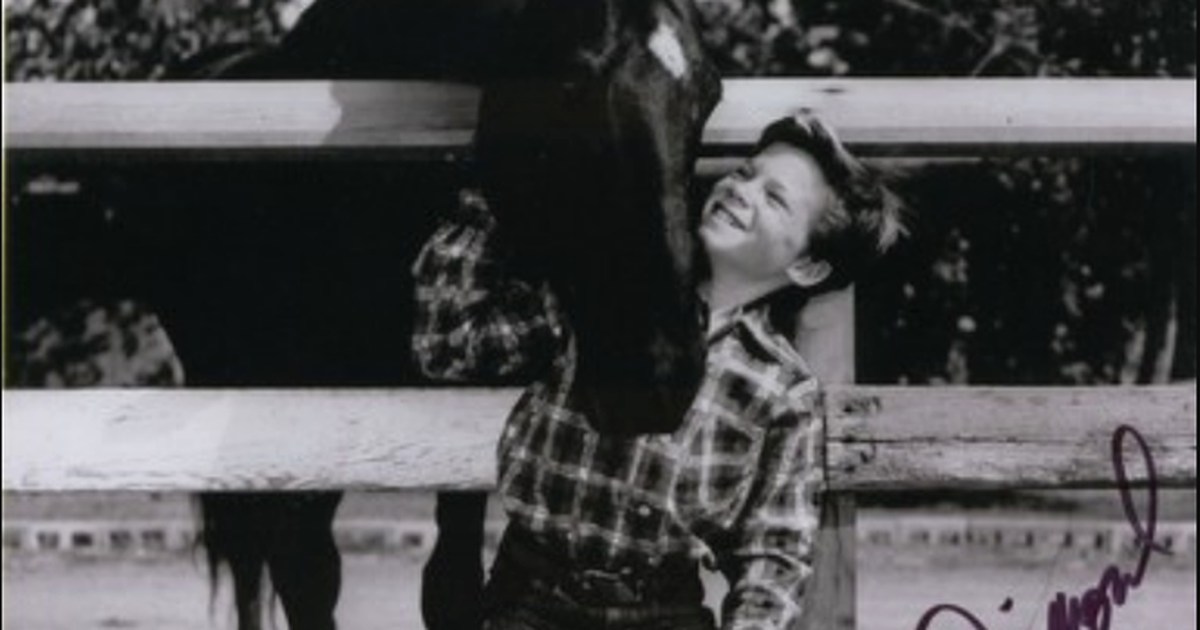 Doliu la Hollywood! A murit celebrul actor Bobby Diamond - WOWBiz