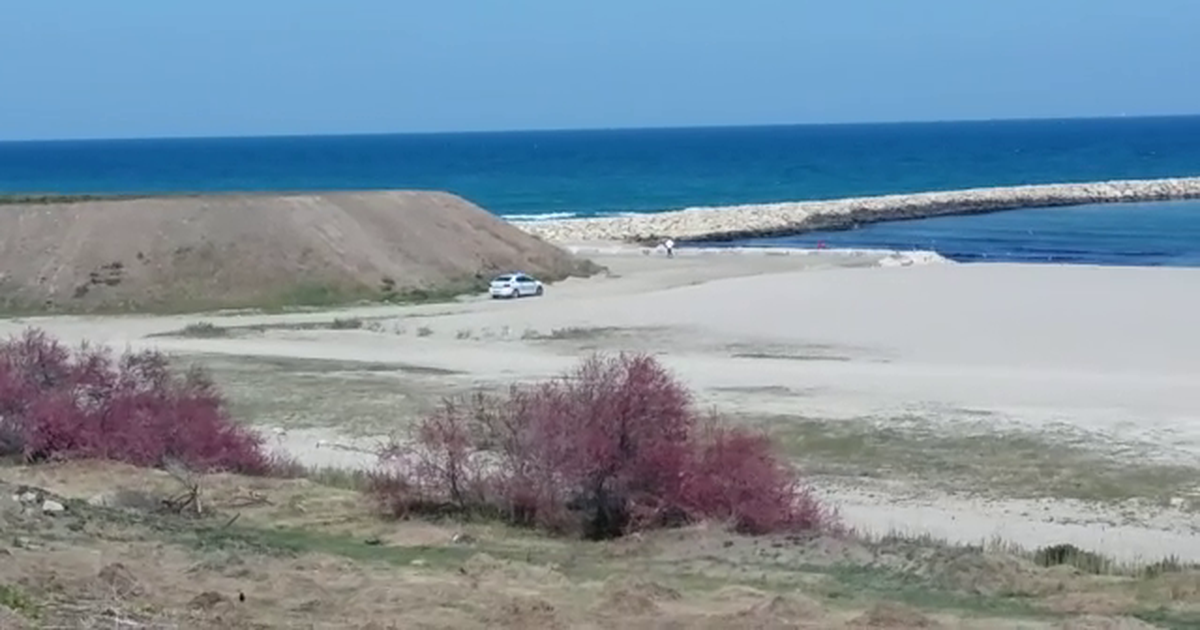 Plaja Modern Constanta: Persoane iesite la alergat somate de politisti ...