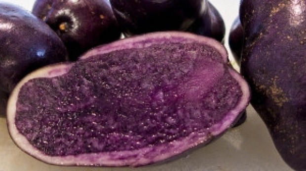 Ce vezi in imagine e un cartof! Asta este cea mai sanatoasa leguma din ...