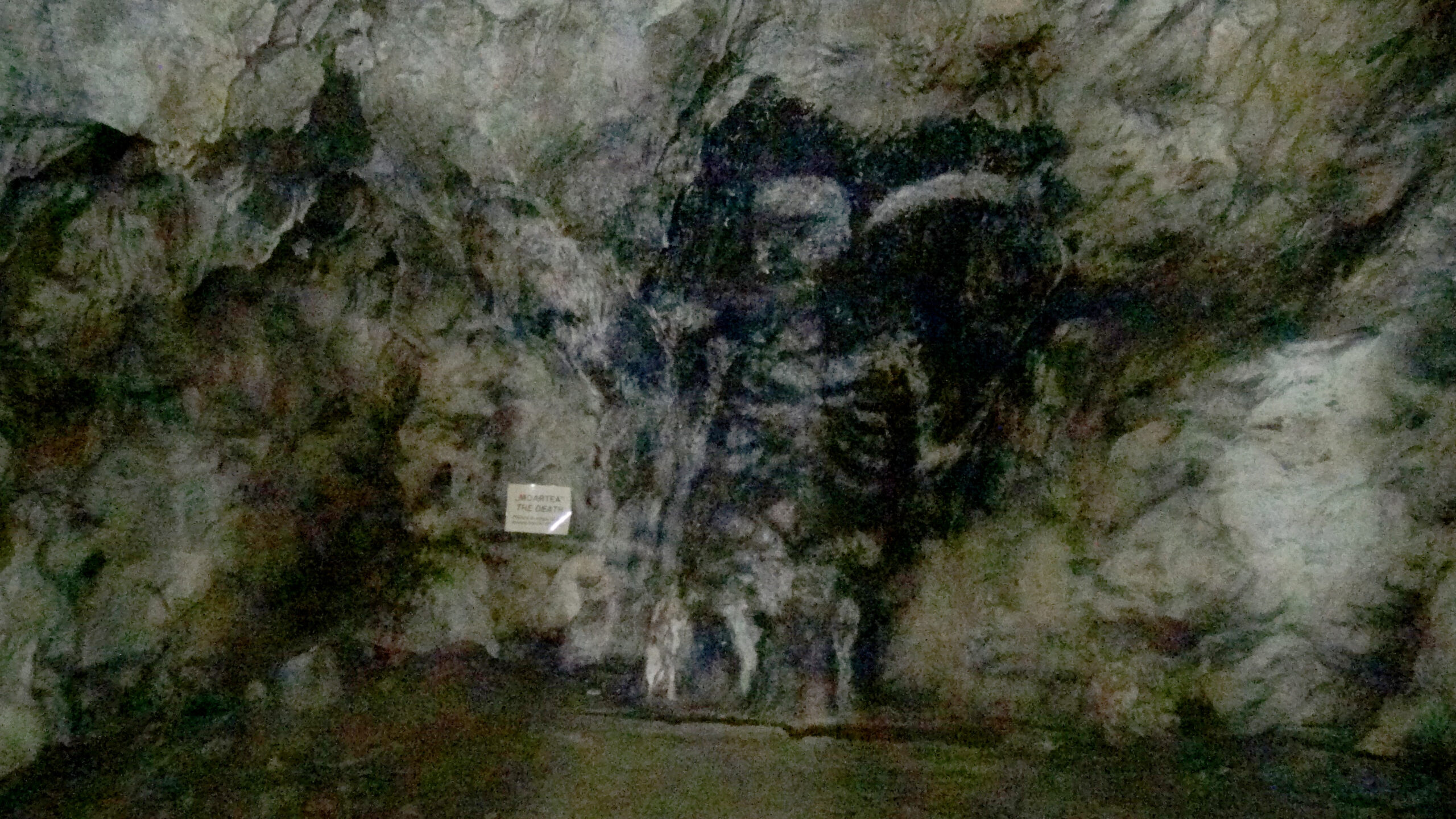 VIDEO EXCLUSIV! Incredibil! Scheletul de langa locul unde a murit mama ...