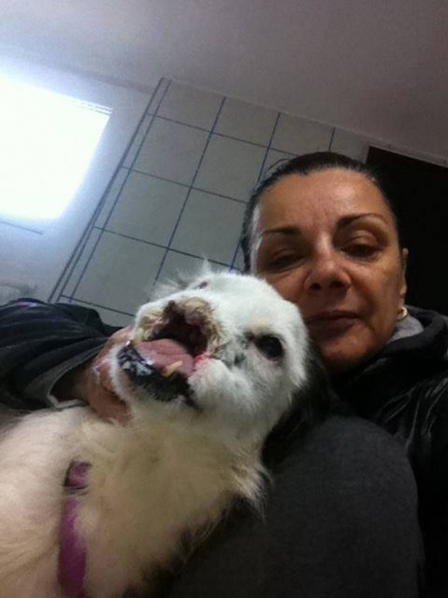 VIDEO! Atentie, imagini socante! Cum arata azi "catelusa fara bot"! E ...