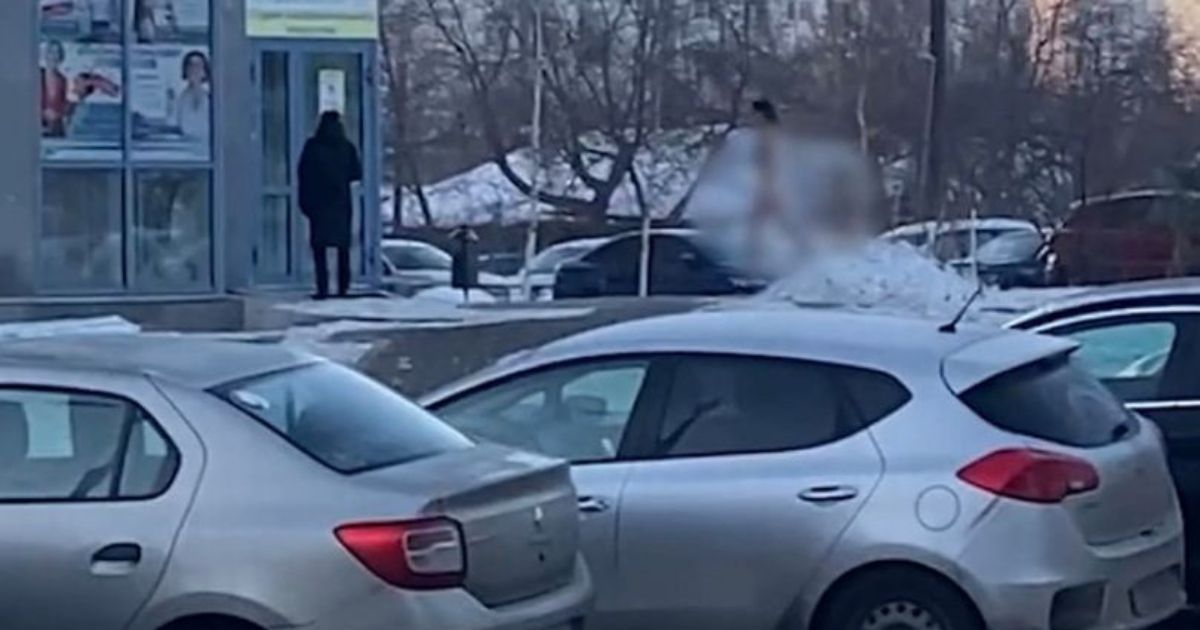 Stiri inedite, stiri neobisnuite - Kanal D Romania - Kanal D Romania ...