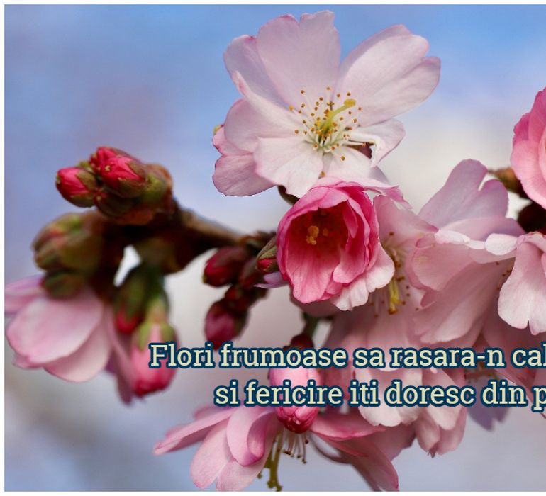 Urări de Florii 2023. Cele mai frumoase mesaje de „La mulți ani!” și ...