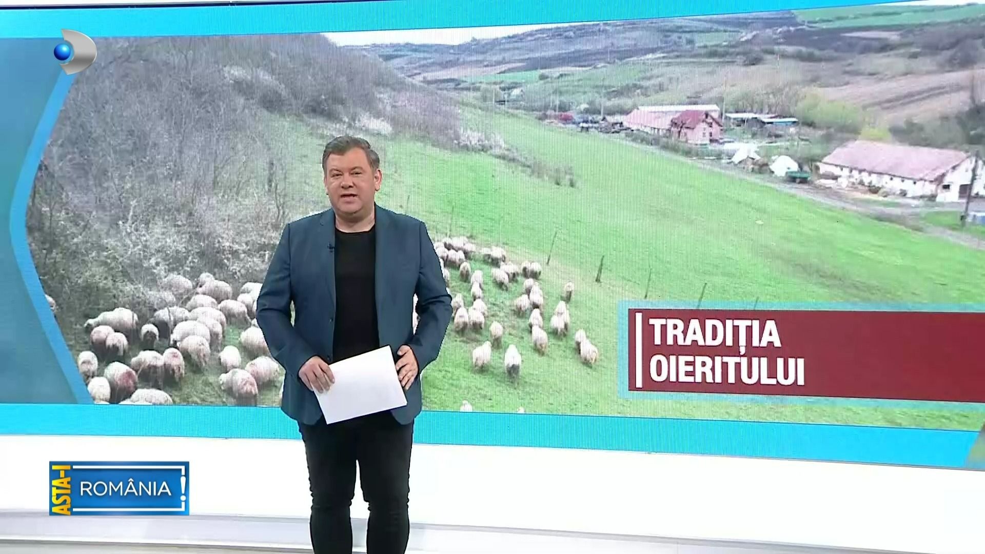 Balada mioriței moderne! Ciobanii, telemeaua și făina de greieri ...