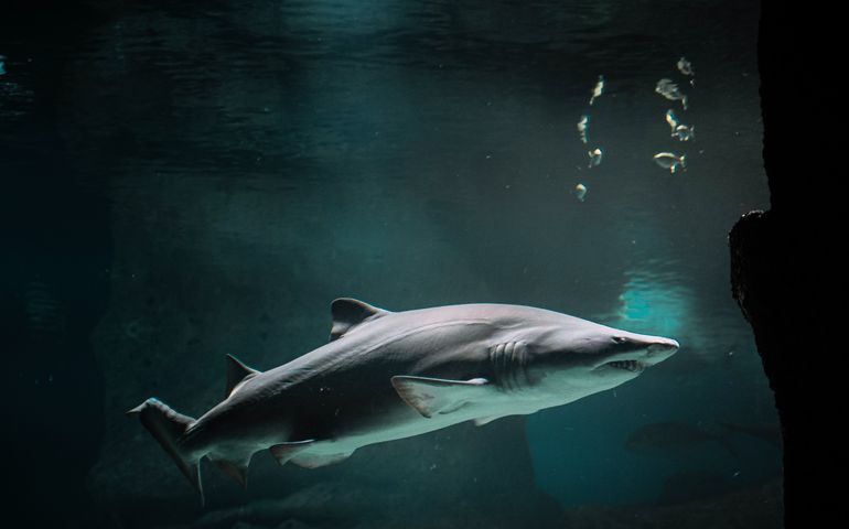 Imagini înfiorătoare pe una dintre cele mai populare insule din Grecia ...