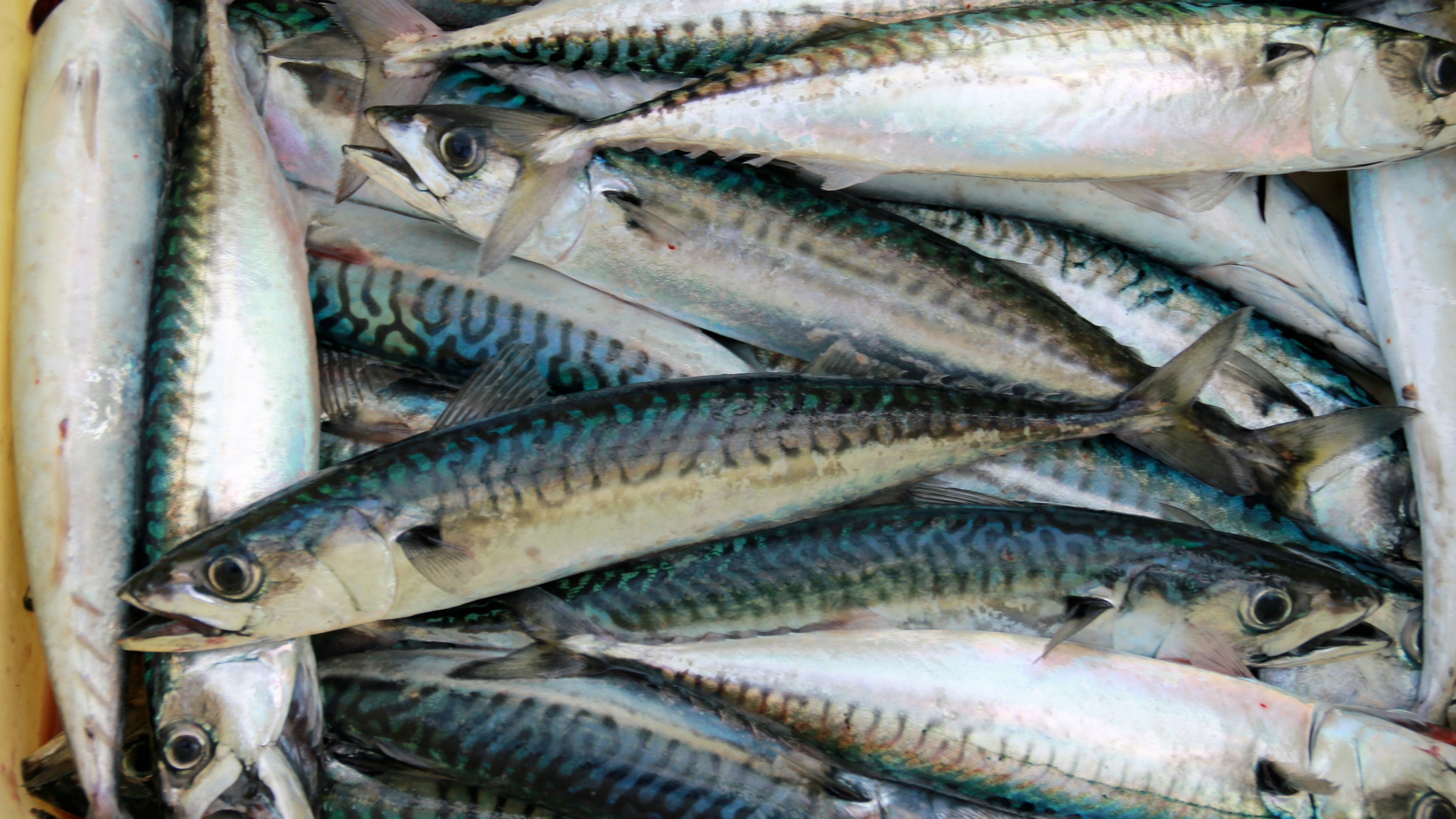 Au ieșit rezultatele analizelor în cazul fetiței din Călărași care a ...