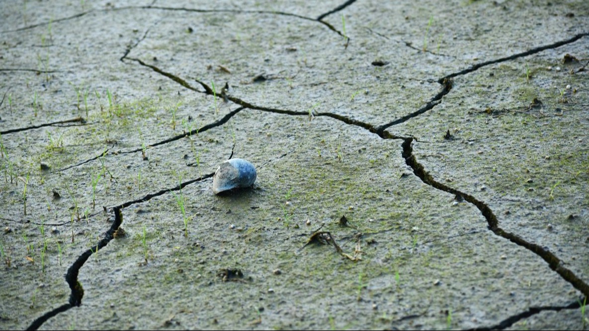 „Pompierii efectuează recunoașteri în teren”. Mesajul Ministerului ...