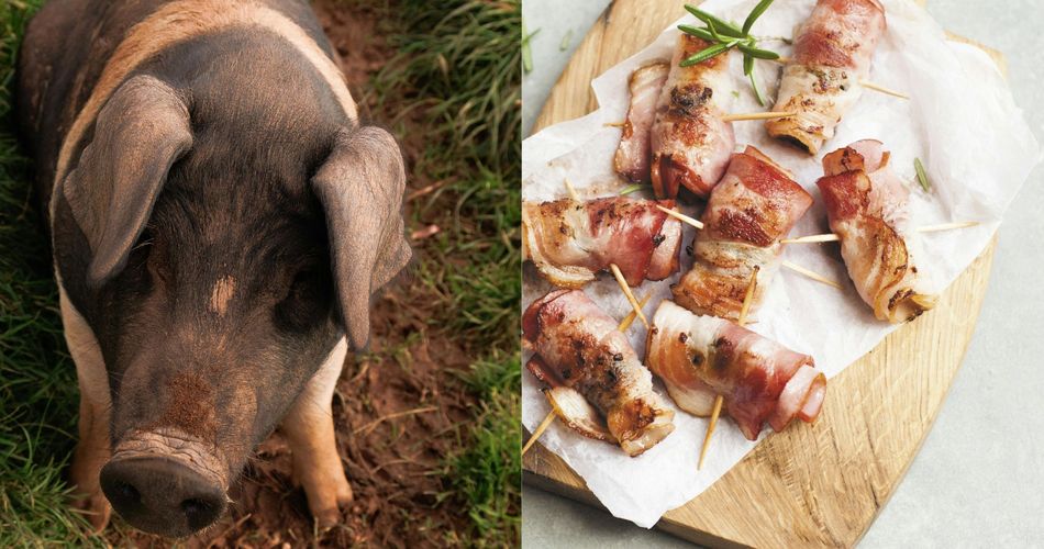 Prețul cărnii de porc crește cu 15% înainte de Crăciun: Doar 20% din ...