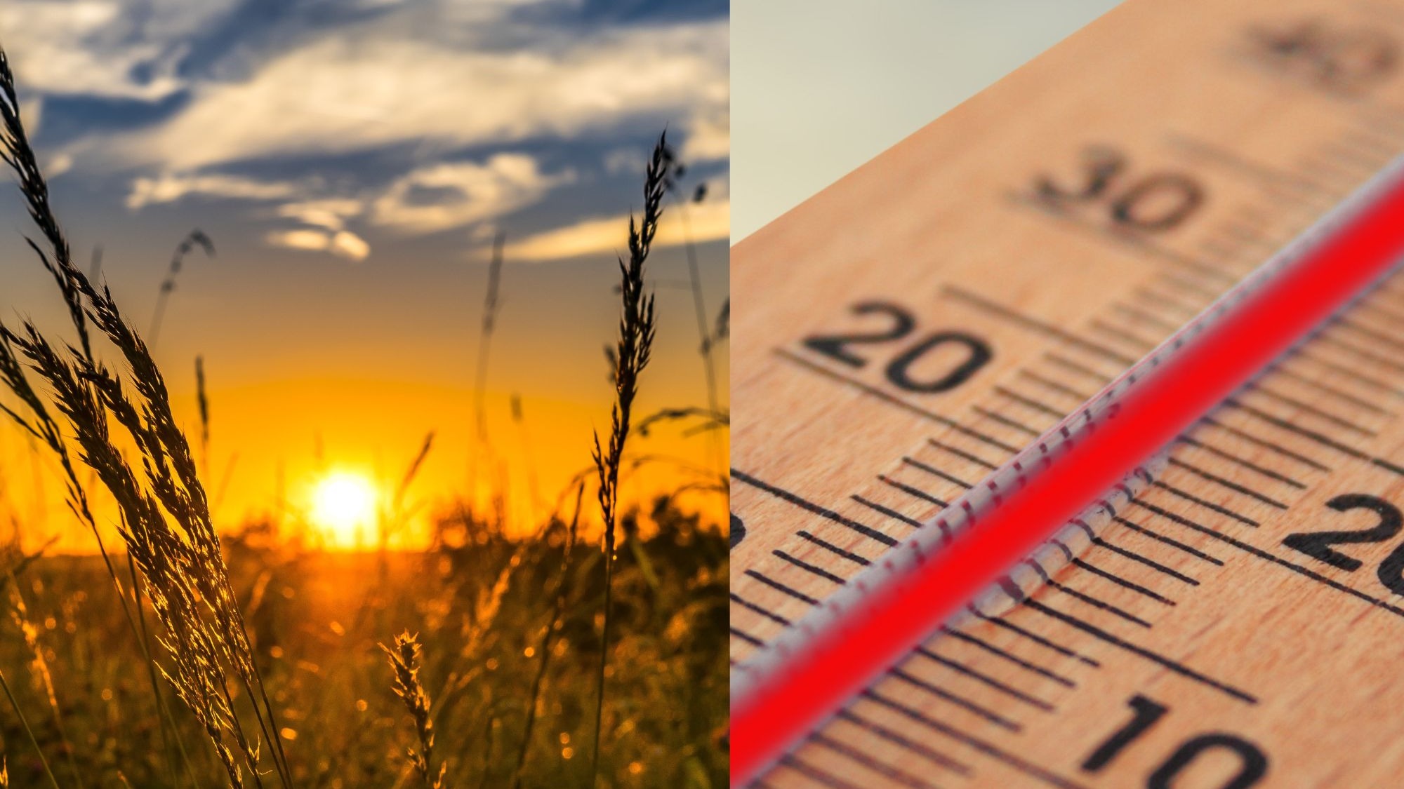 Prognoza meteo 29 octombrie 2024: Meteorologii Accuweather anunță ...