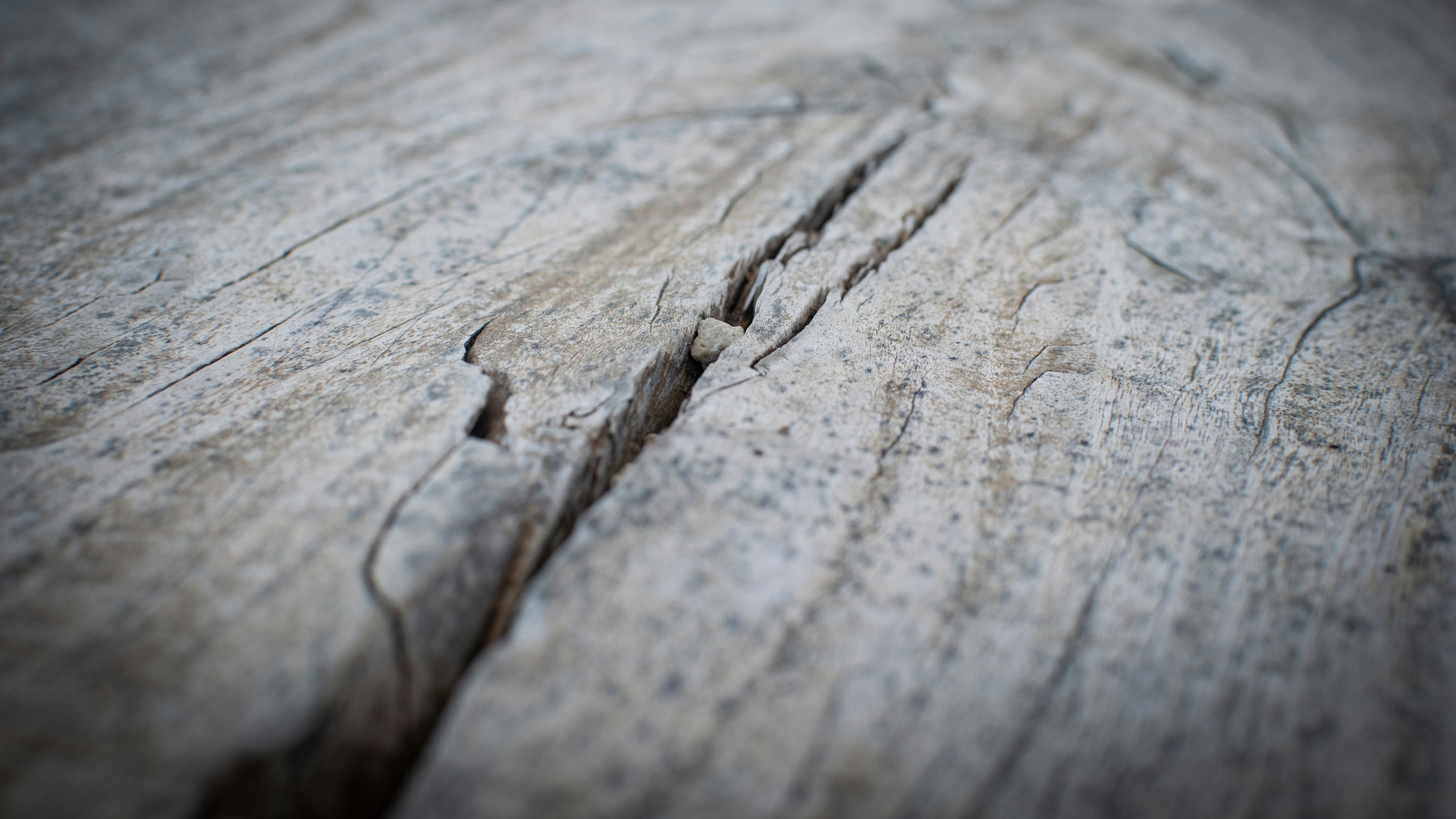 Două cutremure în doar o oră în România! În ce zonă s-au produs ...