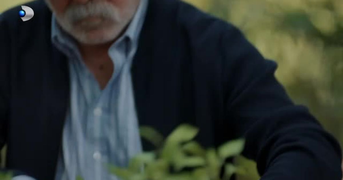 VIDEO: Rezumat „Minciuni de familie”, episodul 69, difuzat în 2 ...