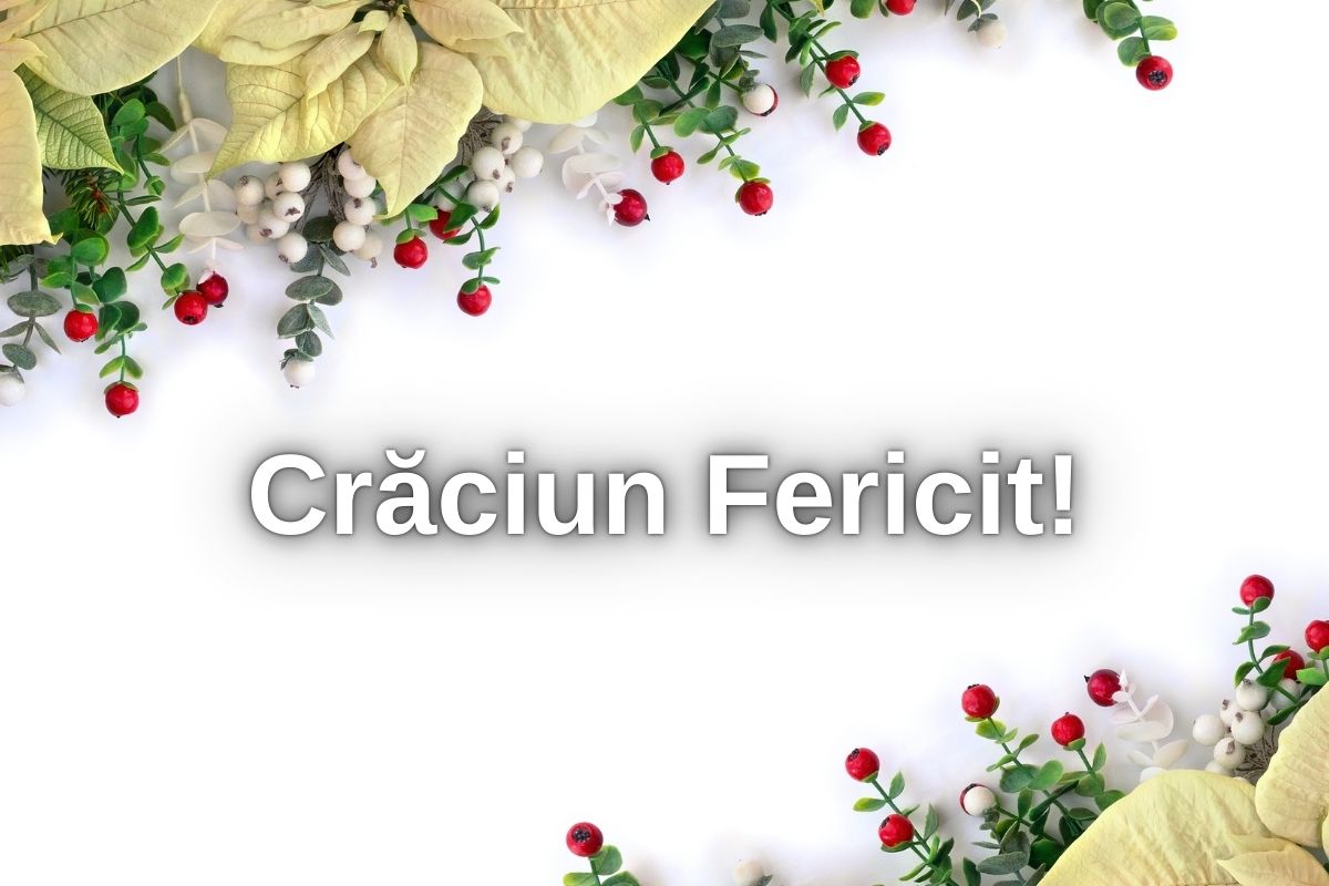 فیلم ژاپنی bokep hd