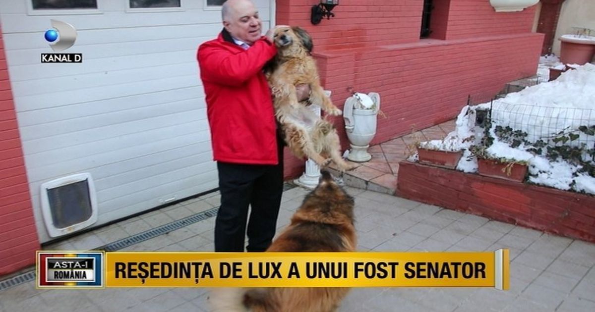 Fostul senator Marius Marinescu locuieste intr-o vila-muzeu! Pe marmura ...