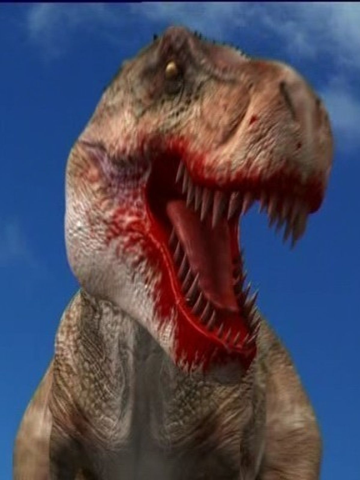 Aztec Rex - Kanal D Romania