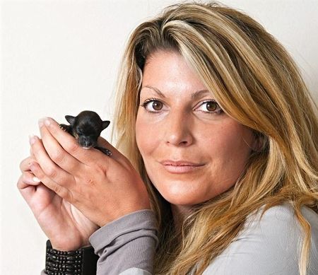 El este probabil CEL MAI MIC catel din lume! Are 10 centimetri lungime ...