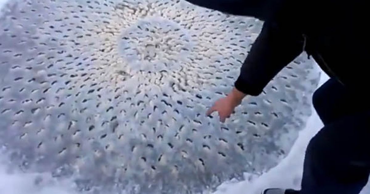 Se plimbau pe un lac inghetat, cand au dat peste aceasta formatiune ...