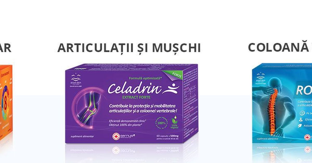 3 solutii avansate cu actiune complexa pentru mobilitatea ...