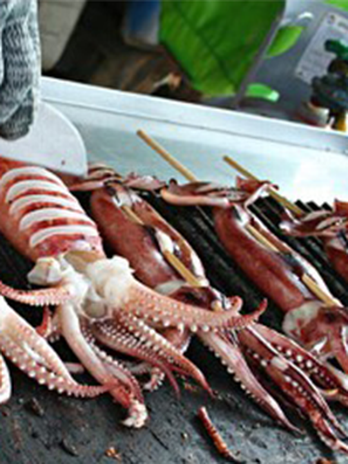 S-a asezat la masa si a inceput sa manance dintr-un calamar proaspat ...