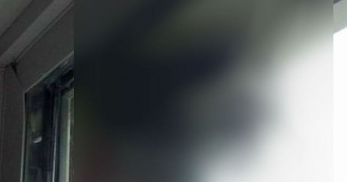 AU AVUT UN SOC cand s-au trezit dimineata si s-au uitat pe geam! "AM ...