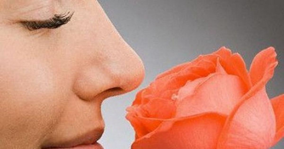 Ramai uimit sa vezi cate mirosuri poate distinge un OM! - Kanal D Romania