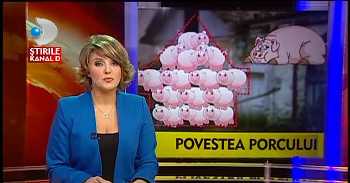 VIDEO: Baba, purcica in varsta de 24 de ani care a nascut peste 500 de ...