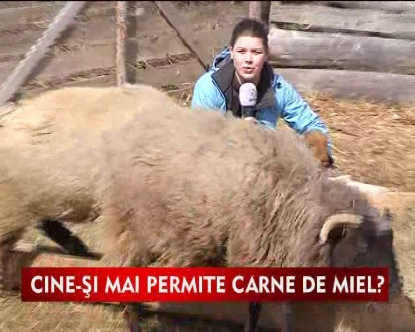 Mielul, o raritate pe farfurie anul asta de Paste! - Kanal D Romania