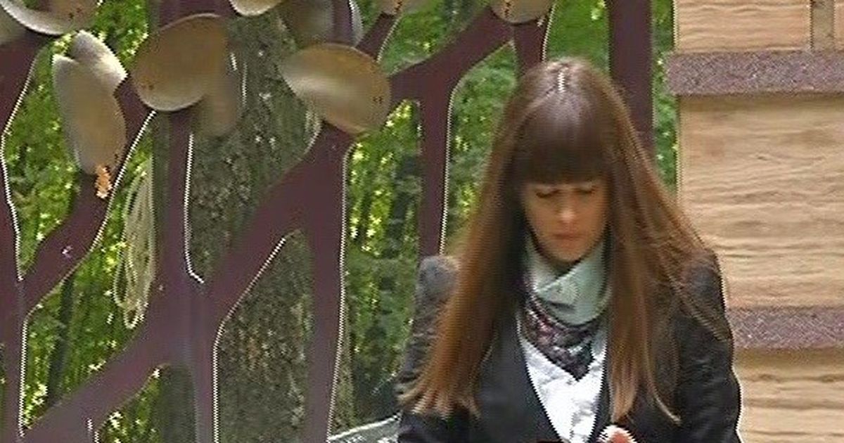 Scandal cu politie si imbranceli la poarta milionarului Remus Truica ...