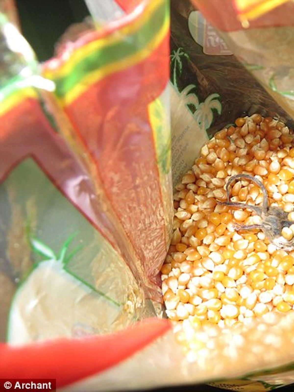 "NU voi mai cumpara in viata mea POPCORN": Ce a DESCOPERIT o femeie in ...