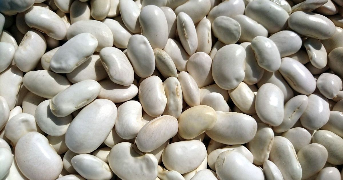 Fasole toxica: cum iti dai seama ca fasolea este toxica - Kanal D Romania