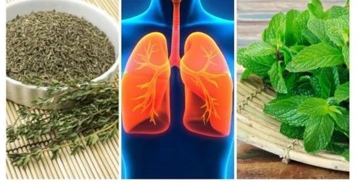 Plamani sanatosi - Plantele care te ajuta sa ai plamanii sanatosi ...