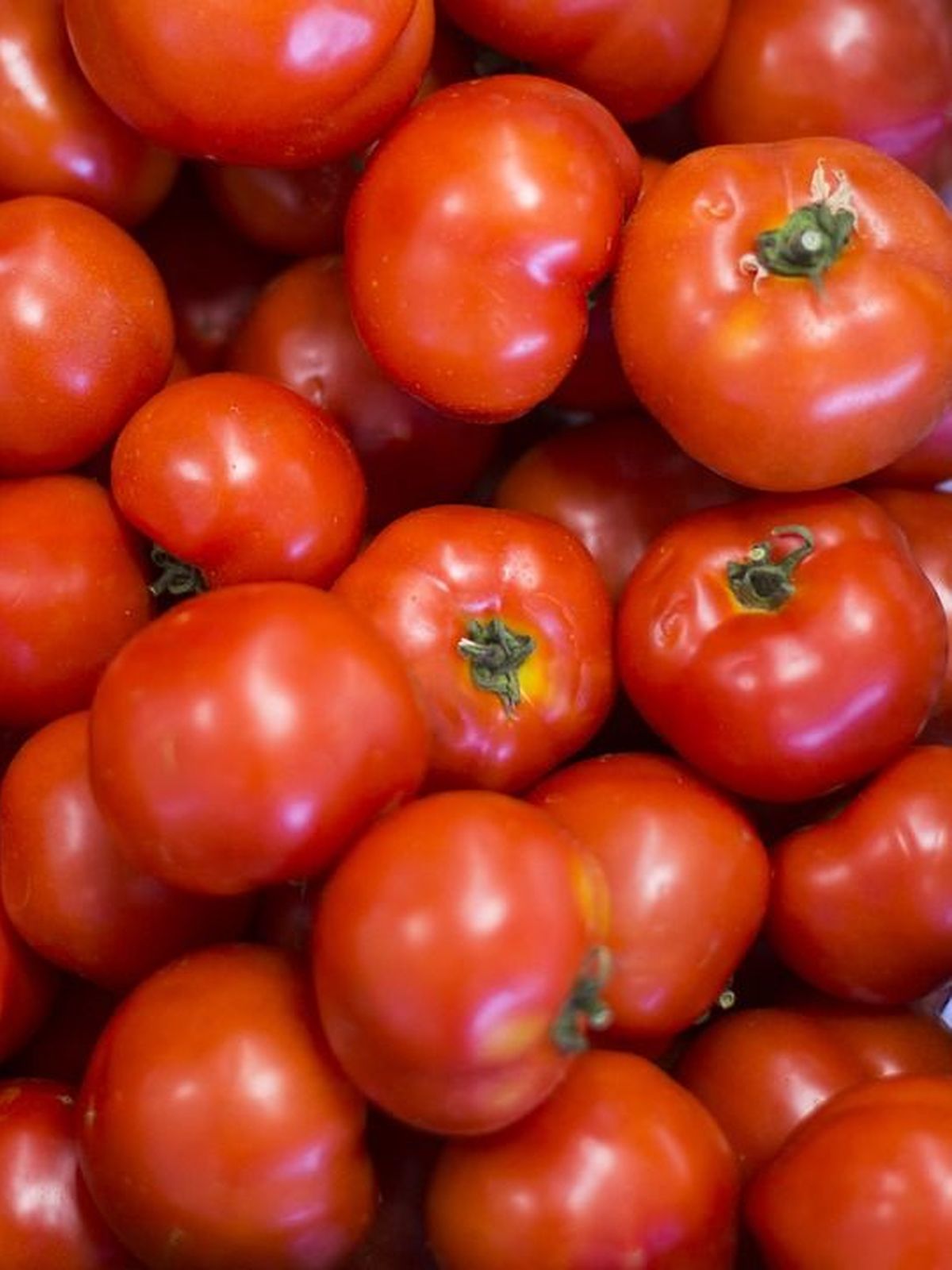 Rosii toxice: cum vezi daca rosiile sunt sau nu toxice - Kanal D Romania