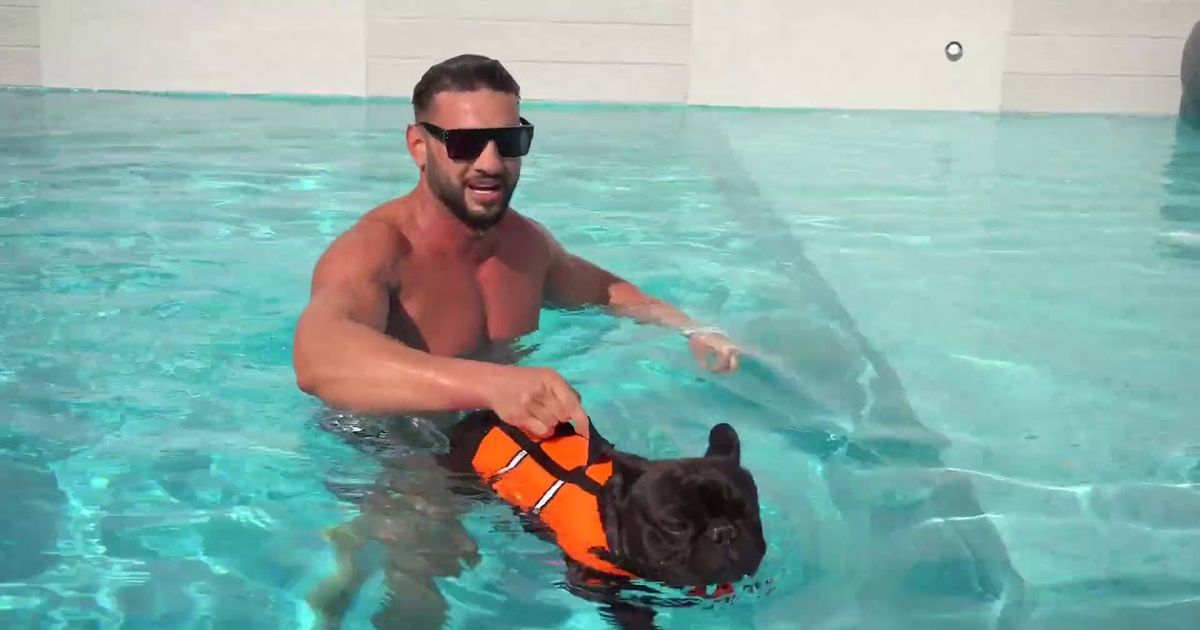 Glume şi meme-uri amuzante cu Înoată Cheluţu, cea mai nouă melodie a ...