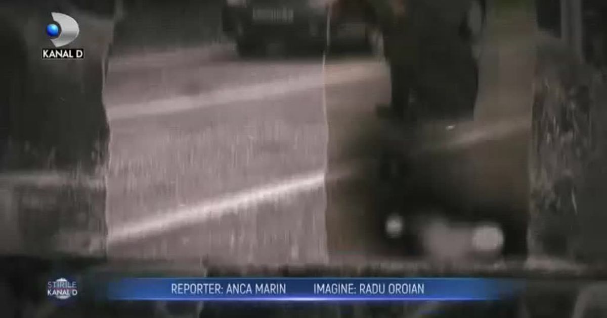 Urșii intră în bătaia puștii - Stirile Kanal D