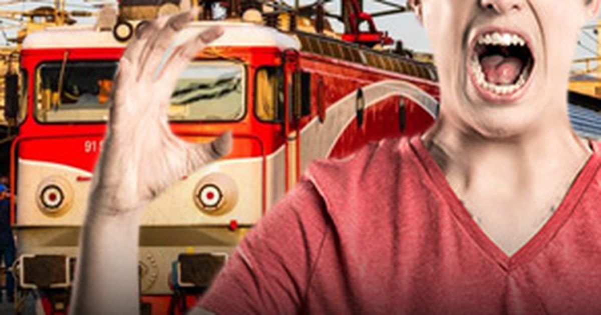 Coșmar de 30 de ore pentru copiii captivi în "trenul groazei" Mangalia ...