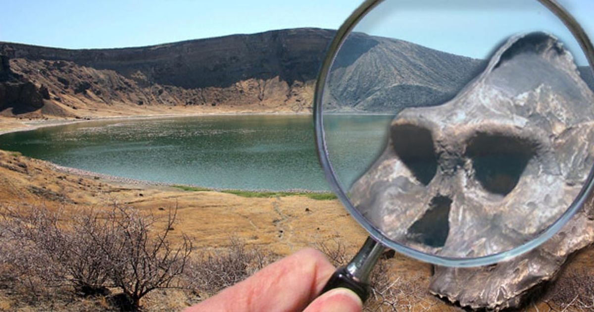 Ce înseamnă Hominizi Turkana și care este misterul lui Homo erectus ...