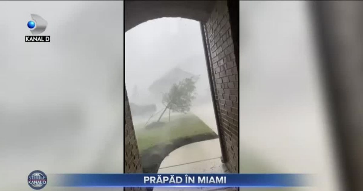 Prapad in Miami - Stirile Kanal D