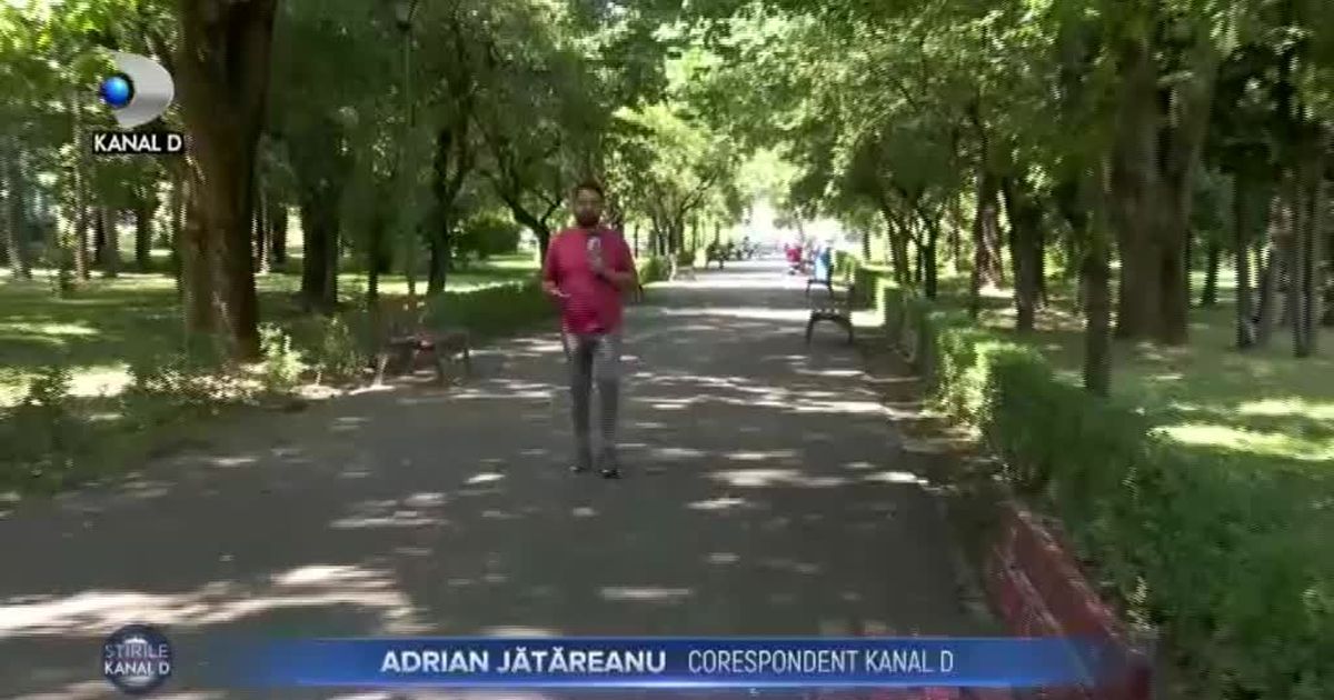 Ciorile - în bătaia puștii - Stirile Kanal D