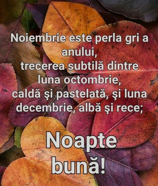 Mesaje pentru luna noiembrie 2021: Felicitări frumoase pentru reţelele ...
