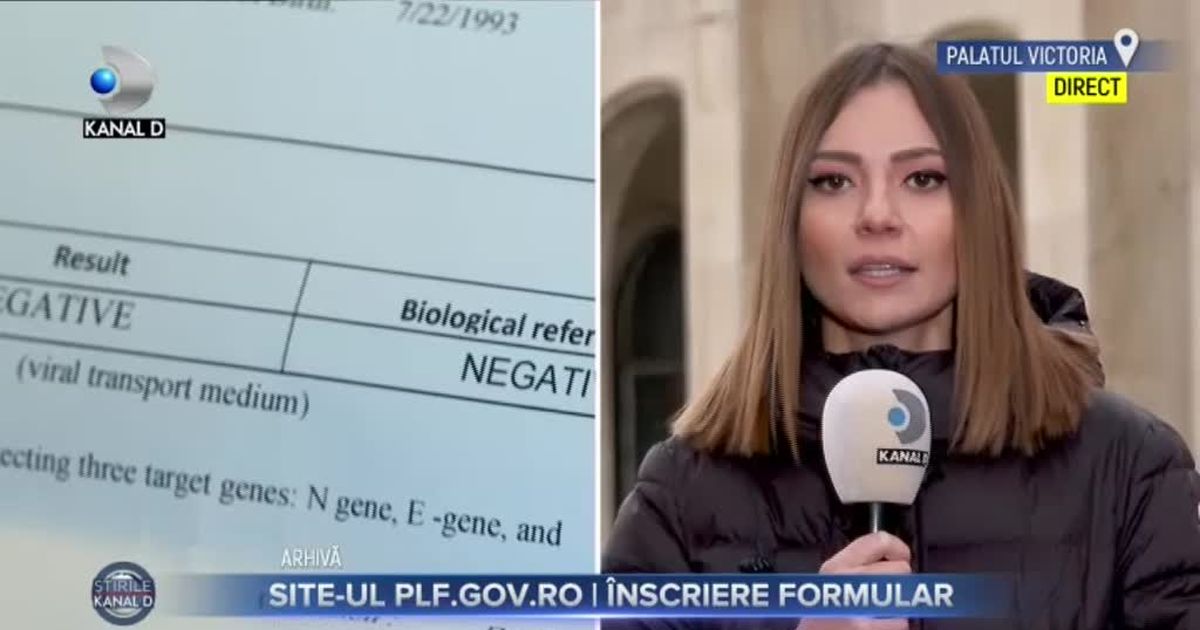 Formularul de intrare în țară aprobat de Guvern - Stirile Kanal D