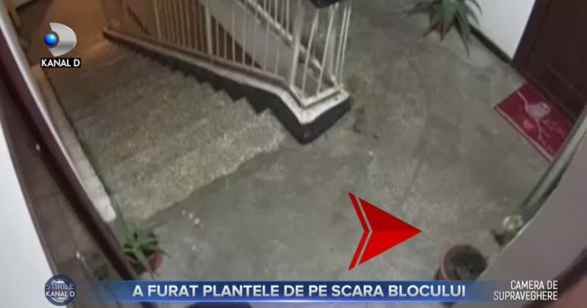 A furat plantele de pe scara blocului - Stirile Kanal D