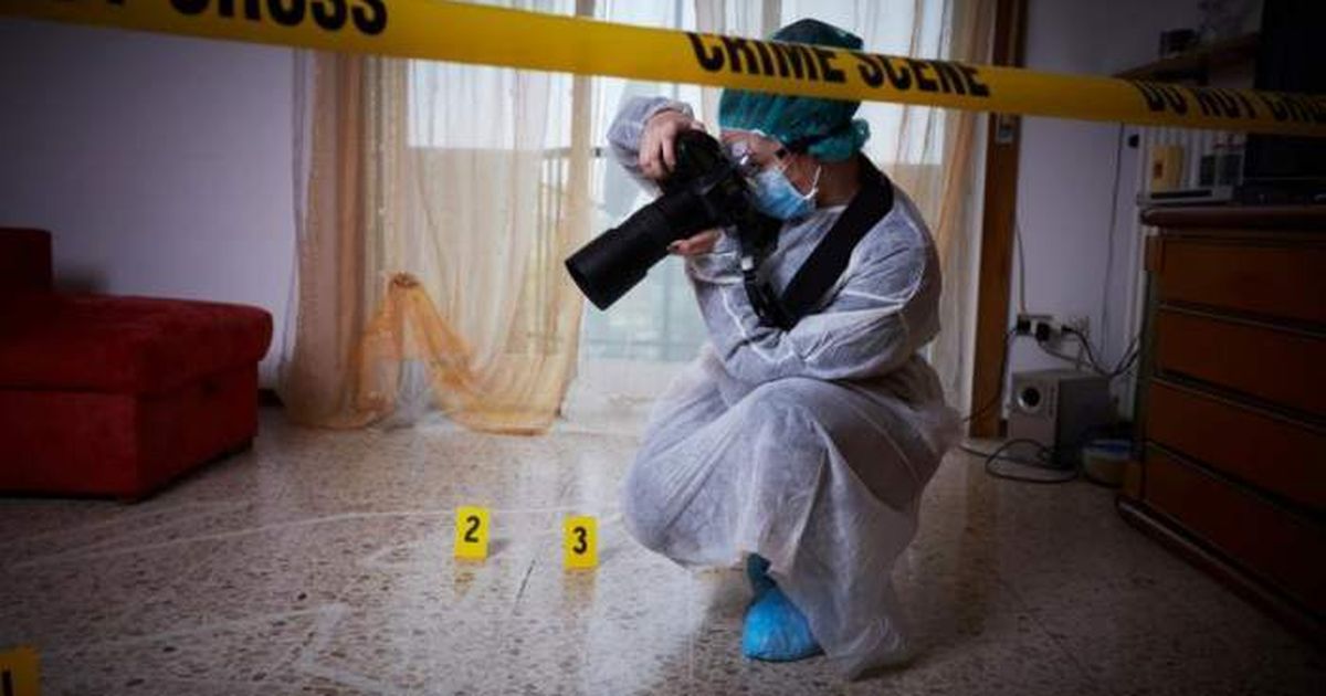 Un cadavru a stat luni întregi înfășurat într-un covor. Autorul crimei ...