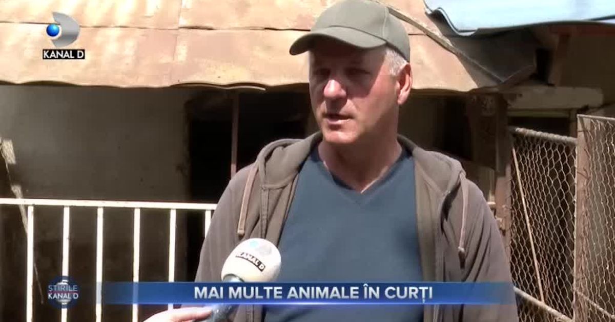Mai multe animale în curți - Stirile Kanal D