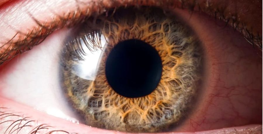 Ce este boala Wilson: simptome, cauze şi manifestări - Stirile Kanal D