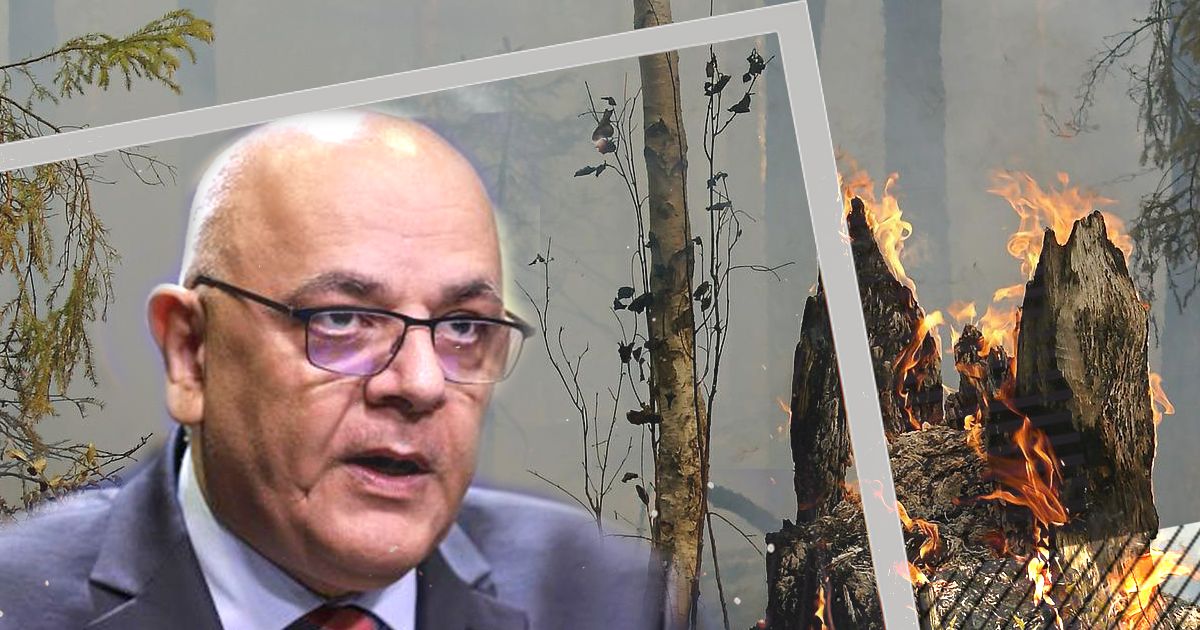 Raed Arafat, despre incendiile din ultima perioadă: Arderile ...